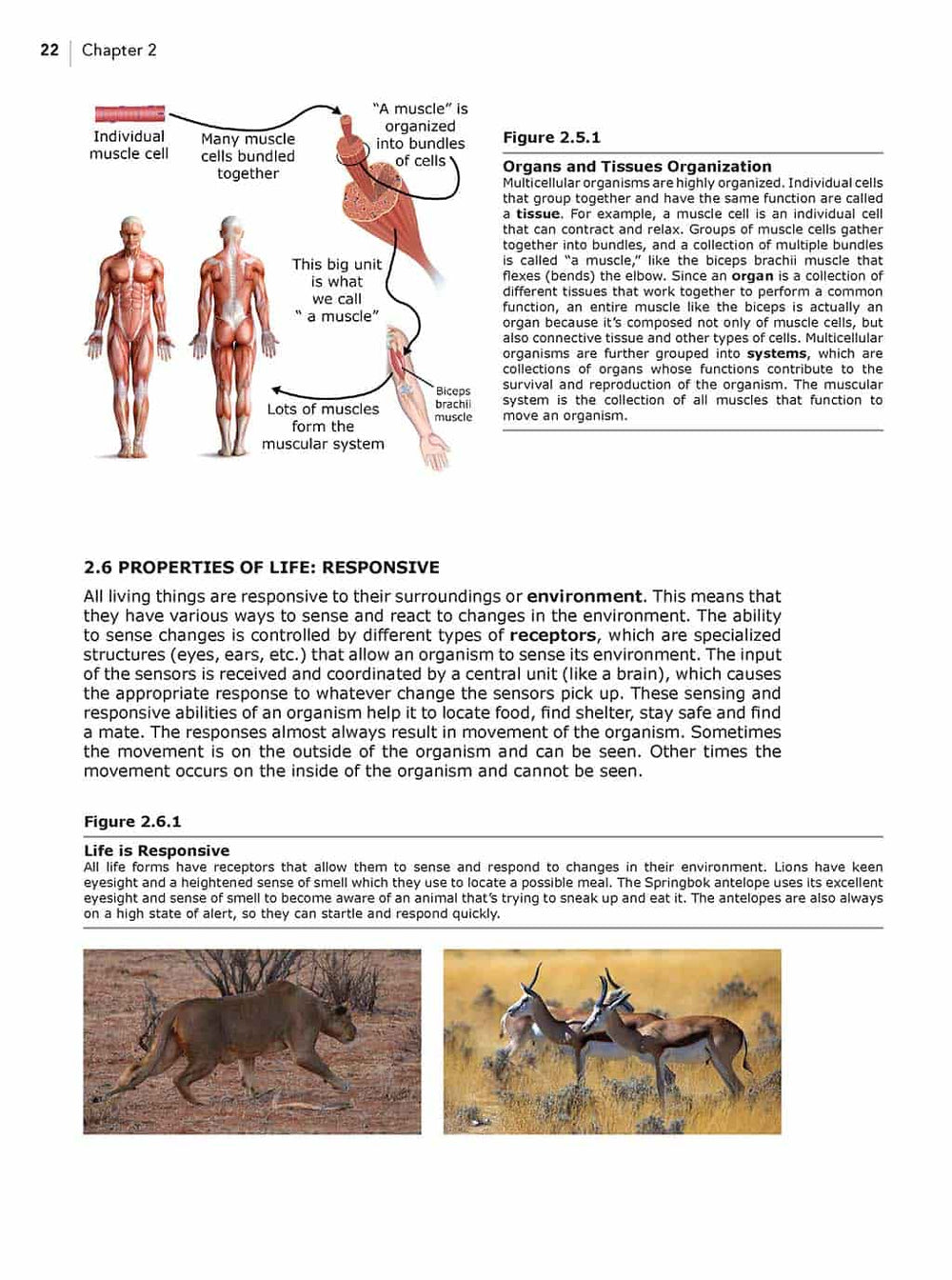 Life Science Homeschool Textbook from Science Shepherd - Science ...