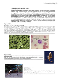 Life Science Homeschool Video Curriculum from Science Shepherd
